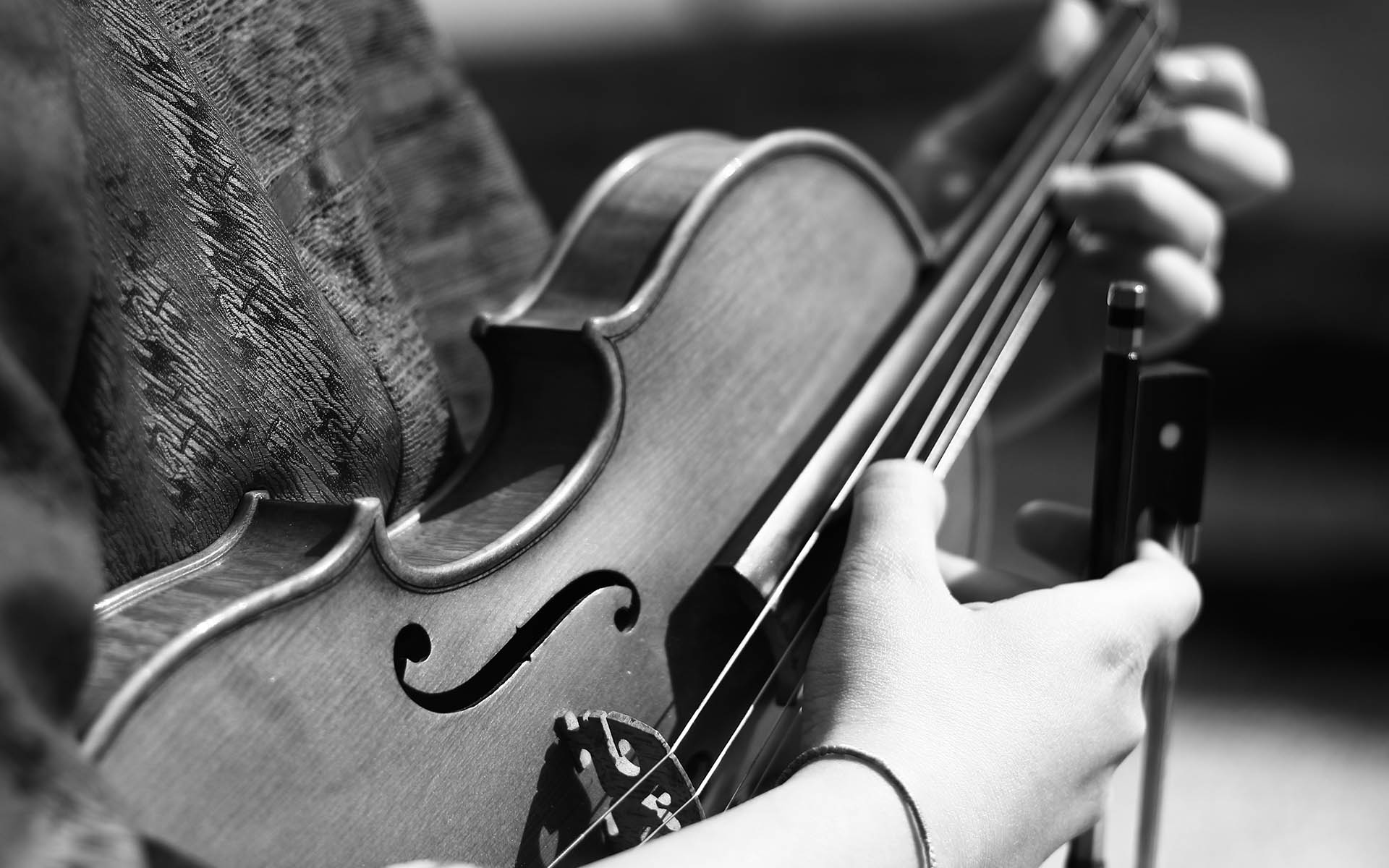 Cordes de violon : pourquoi bien les entretenir ? - Univers Musique